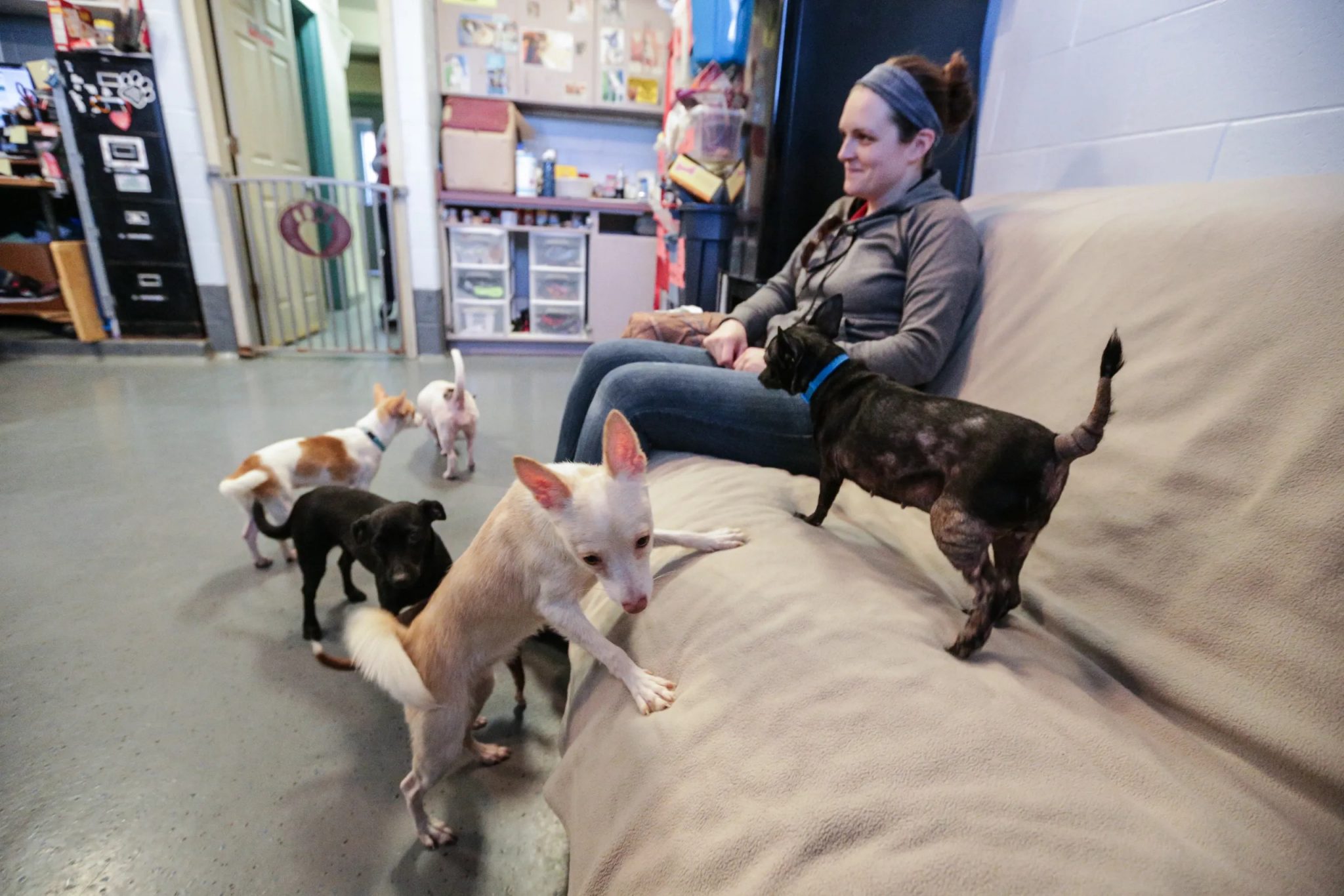 IndyHumane - Encyclopedia of Indianapolis