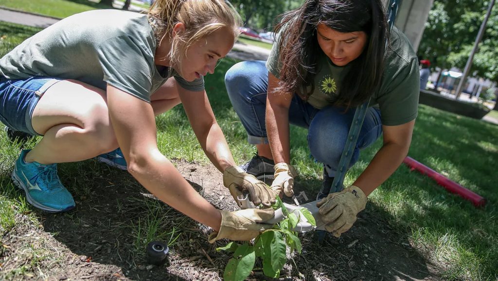 Keep Indianapolis Beautiful, Inc. (KIB) - Encyclopedia of Indianapolis